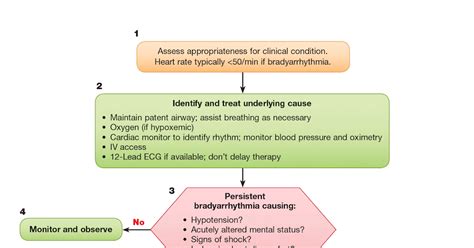 Er Goldbook Bradycardia With Pulse