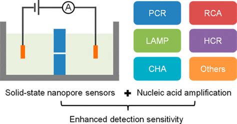 Solid State Nanopore Sensors With Enhanced Sensitivity Through Nucleic