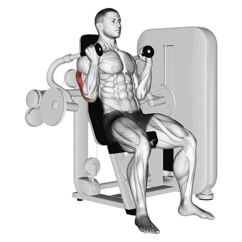 Extensions Des Triceps à La Machine Technogym Comment Et Pourquoi Faire Les Extensions Des