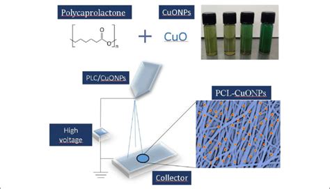Schematic Representation Of The Synthesis Of Pcl Cuonps Composites Download Scientific Diagram
