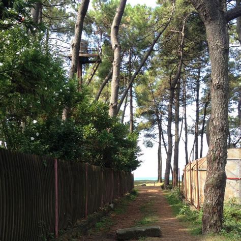 საოჯახო სასტუმრო Lanchkhuti