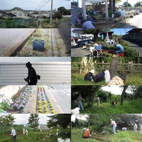 くさゼロ・フォトコンテスト 日立市コミュニティ推進協議会 日立市生活環境部コミュニティ推進課（事務局）