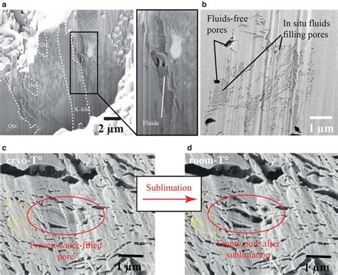 Direct Imaging Of Pore Fluid In Wet Preserved Opalinus And Boom Clays Download Scientific