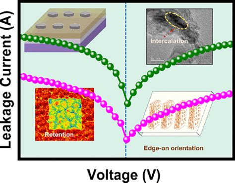 Controlled Molecular Orientation Through Intercalation In PVDF Thin Films Exhibiting Ultralong