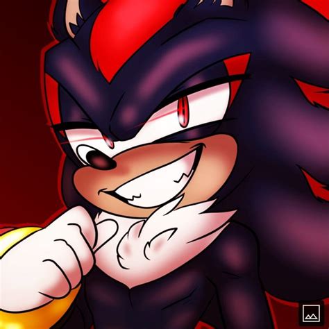 Pin By Aluxwolf On The Hedgehogs Shadow The Hedgehog Sonic And Shadow Shadow Pictures