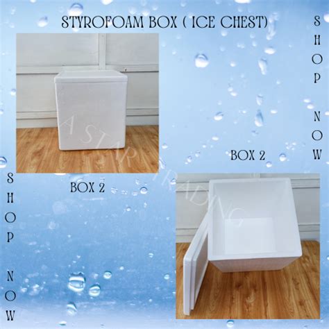Box 2 Styrofoam Styrobox Picnic Box Ice Chest Styro Box Styro Foam Shopee Philippines