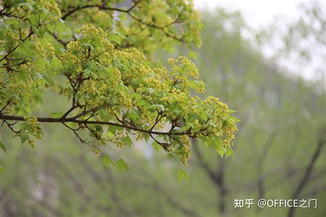 如何处理 Matlab 中的错误和异常？ 知乎