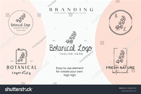 Botanical Floral Element Hand Drawn Logo Stock Vector Royalty Free