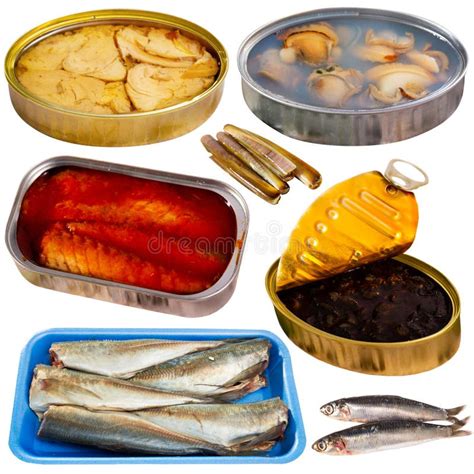 Set Of Assorted Fish And Seafood Raw And Semi Finished Products Stock