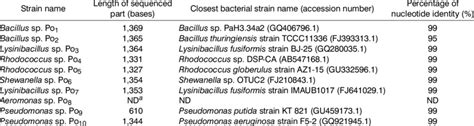 Taxonomic Affi Liation Of Isolated Bacterial Strains Based On The 16s Download Scientific