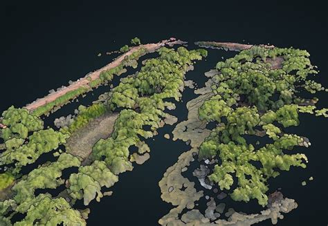 Using Drones To Assess Above Ground Carbon Stock — Technology For Wildlife Foundation