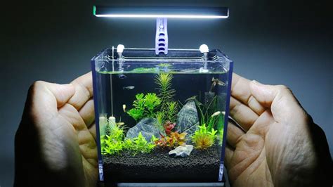 Smallest Aquarium Decorating Ideas