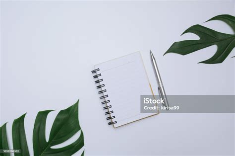 오픈도 서의 최고 볼 수 있습니다 책은 삽입 텍스트 흰색 배경 및 복사 공간에 펜을 오픈 0명에 대한 스톡 사진 및 기타 이미지 Istock