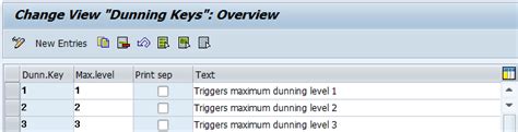 Sap Dunning Procedure Configuration