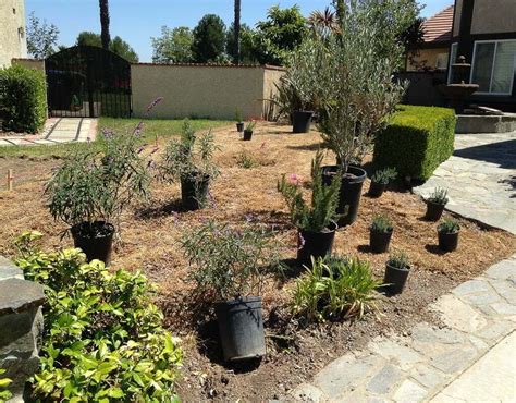 No Grass Front Yard Landscaping Ideas Simple No Grass Front Yard