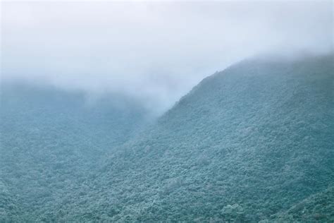 100 Free Heavy Rain And Dense Fog Images Pixabay