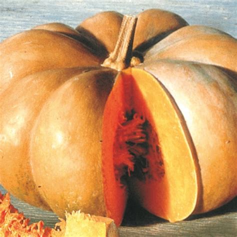 Graines Calebasse Gourde Cucurbita Siceraria Gourde Bouteille