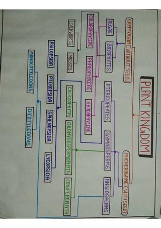 Concept Map Pdf