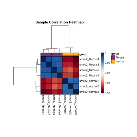 Using Bioconductor For Rna Seq Differential Expression Analysis Atlantbh Sarajevo