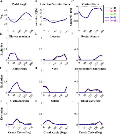 Simulated Pedal Angles Pedal Forces And Mtu Excitation Patterns At
