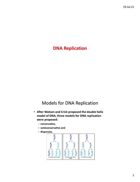 DNA Replication Very Detailed Lecture Notes DNA Replication Models For DNA Replication After
