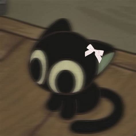 Animated Cat Pfp