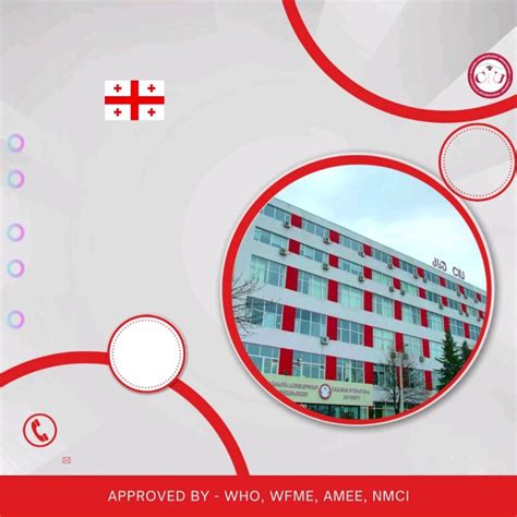 Mariam Khachidze On Linkedin Caucasus International University