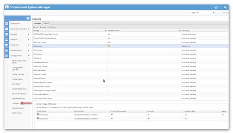 Licenciando Cabina Netapp Ontap 9 Blog De Sistemas