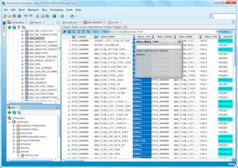 Exploring Oracle SQL Developer
