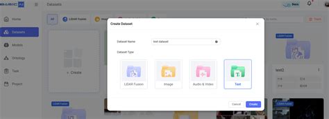 Text Annotation Tool Basicai
