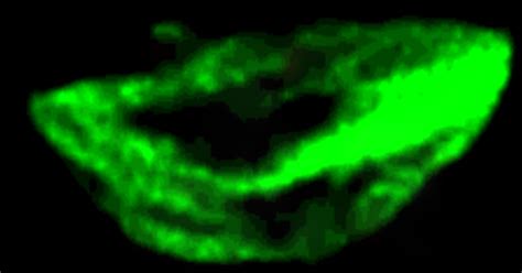 Attenuation Correction Imaris Learning Centre Oxford Instruments