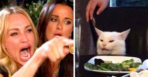 Yelling At Cat Meme Template