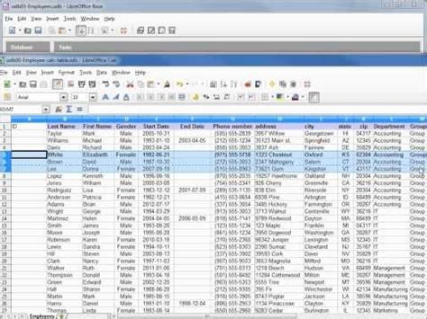 LibreOffice Base Tutorial Base Youtube