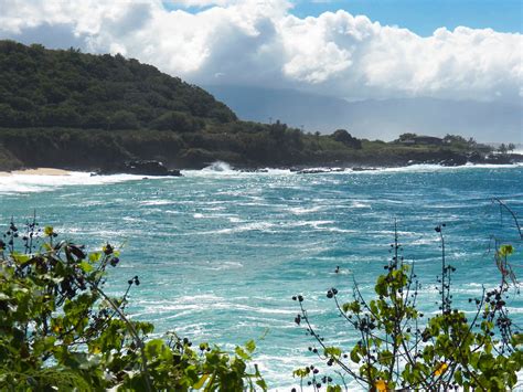 Unveiling The Wonders Of Waimea Bay And Waimea Valley A Guide To Your North Shore Adventure