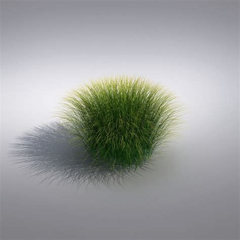 3ds Max Ornamental Grass