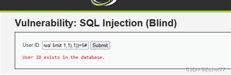 【dvwa】21 Sql Injection Blindsql注入盲注（low手工版）dvwasql注入low Csdn博客