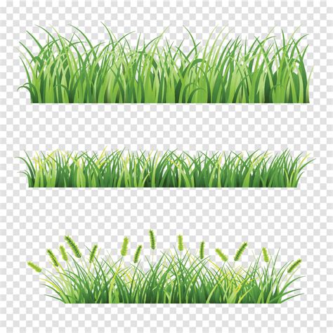 Various Grass Element 9158512 Vector Art At Vecteezy