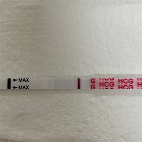 첫번째 임신준비 배란 10일~14일 증상 기록 원포 시약선 농락 15일 생리시작 네이버 블로그