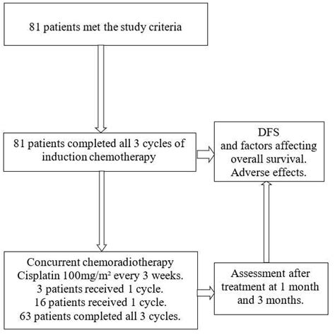 Treatment Outcome Of Gemcitabine And Cisplatin Induction Followed By Concurrent