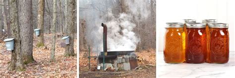 Maple Syrup Coffee Now Cook This