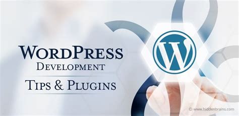 Wordpress Best Practices For Developers Hacks And Plugins