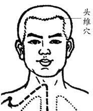 头维 搜狗百科