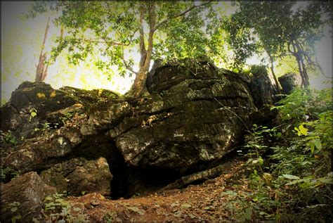 Dandeli Ulavi Akala Gavi Trekking My Camera Log