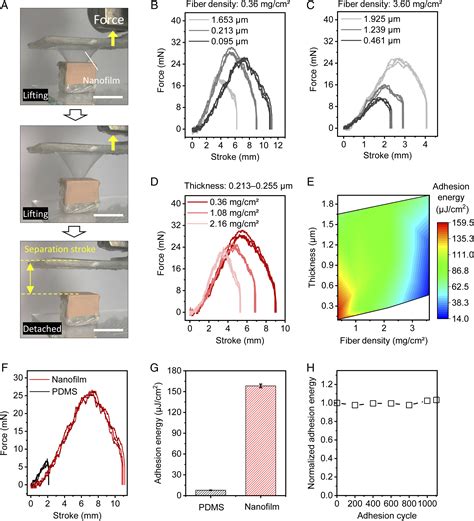Robust Self Adhesive Reinforced Polymeric Nanofilms Enabling Gas Permeable Dry Electrodes For