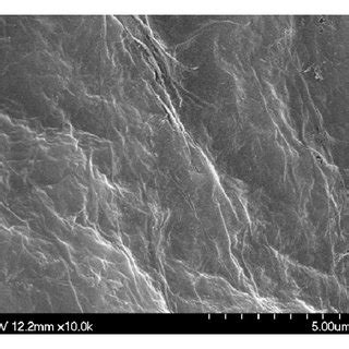 SEM A And TEM B Images Of The Bare GO For This Study SEM C And Download Scientific