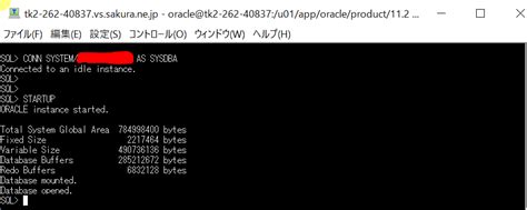 Sql Developer接続エラーへの対処ora 12514 Ora 12505 Rainbow Engine