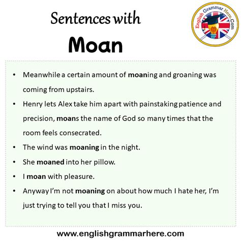 Sentences With Moan Moan In A Sentence In English Sentences For Moan