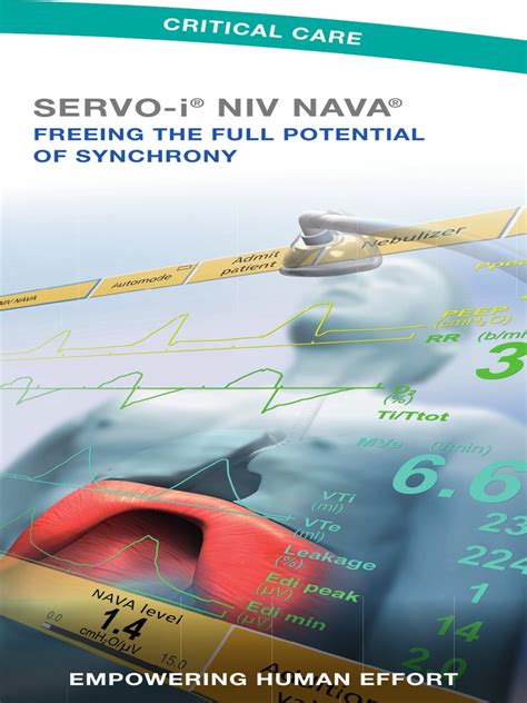 Servo I Niv Nava Freeing The Full Potential Of Synchrony Pdf