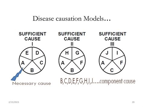 2 Epidemiological Concept Of Disease Causation Pptx