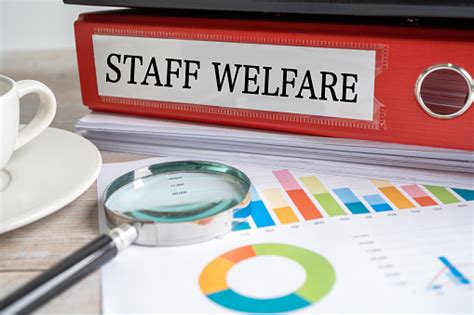 직원 복지 바인더 데이터 재무 보고서 사무실에서 그래프 분석과 비즈니스 검사 보기에 대한 스톡 사진 및 기타 이미지 검사 보기 고용과 노동 구매 Istock